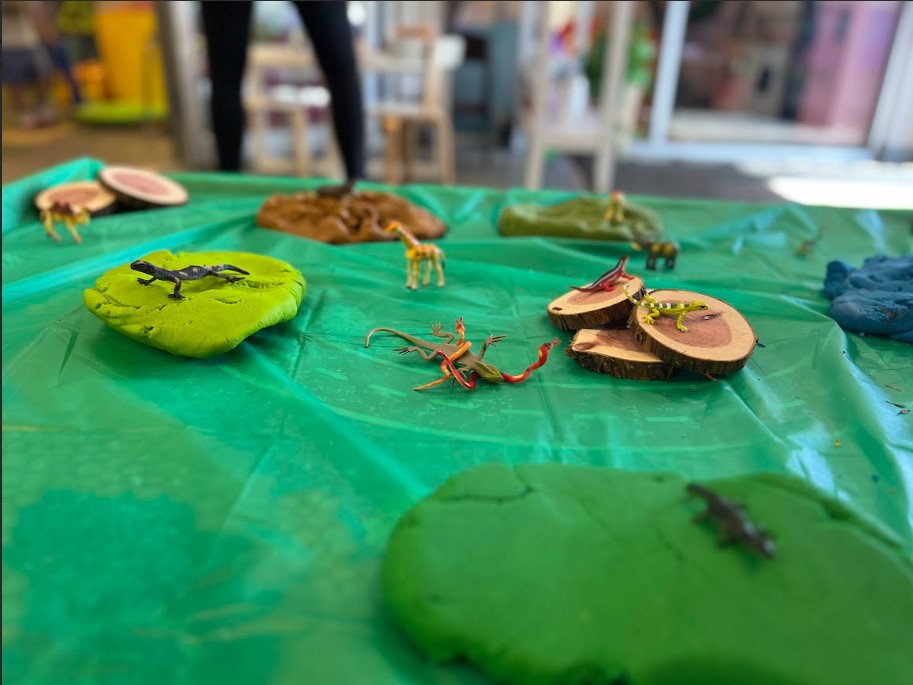 Spring into Summer: A Look Back at Sarasota Children’s Museum’s Vibrant ...