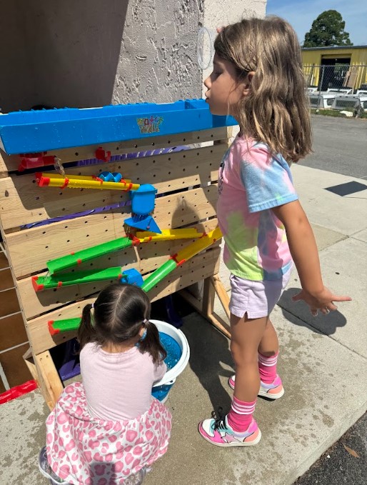 Spring into Summer: A Look Back at Sarasota Children’s Museum’s Vibrant ...