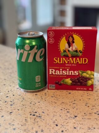 Dancing Raisins Experiment - Sarasota Children's Museum